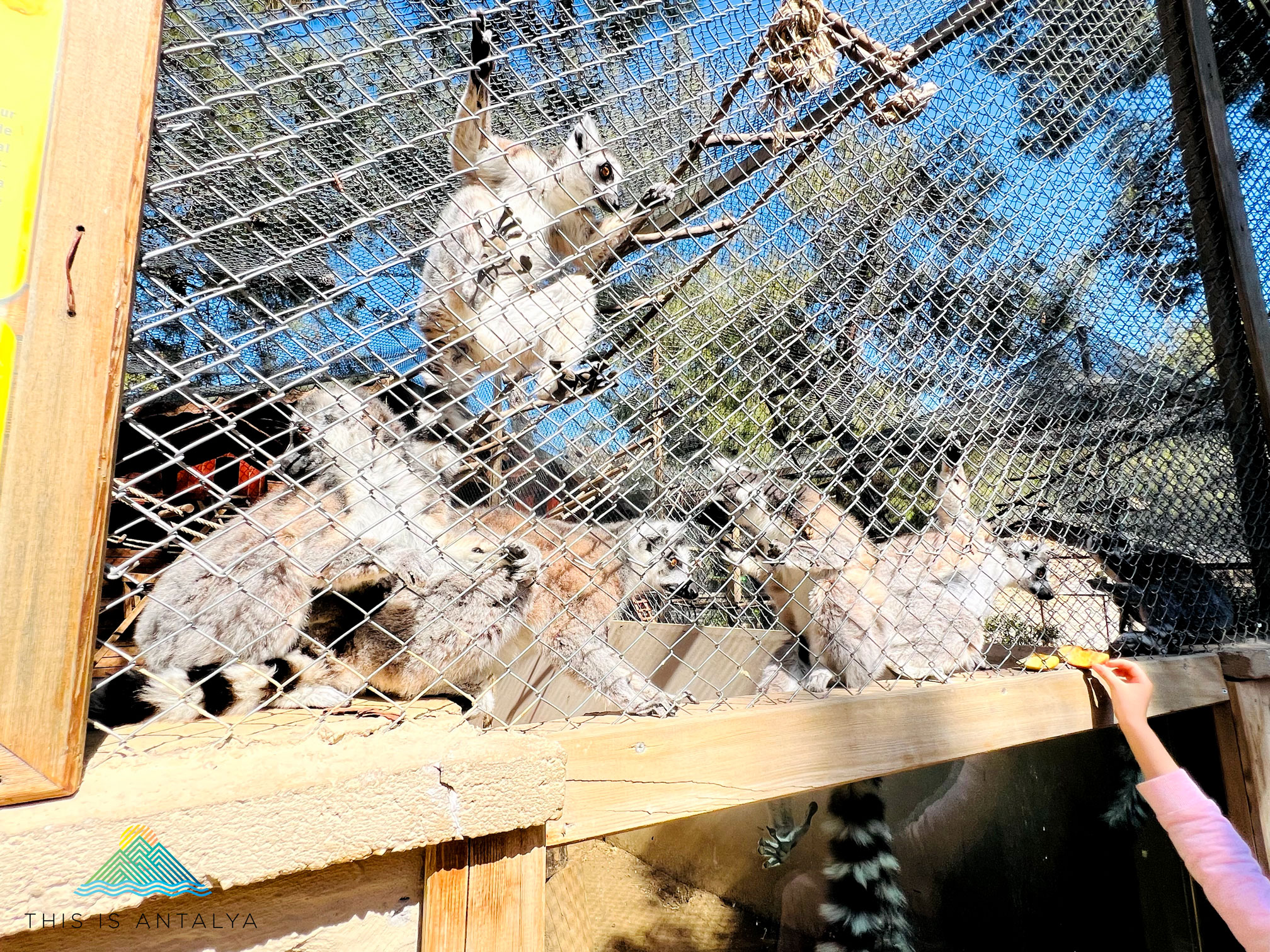 Antalya Zoo - This is Antalya For Visitors Find Out What To Do