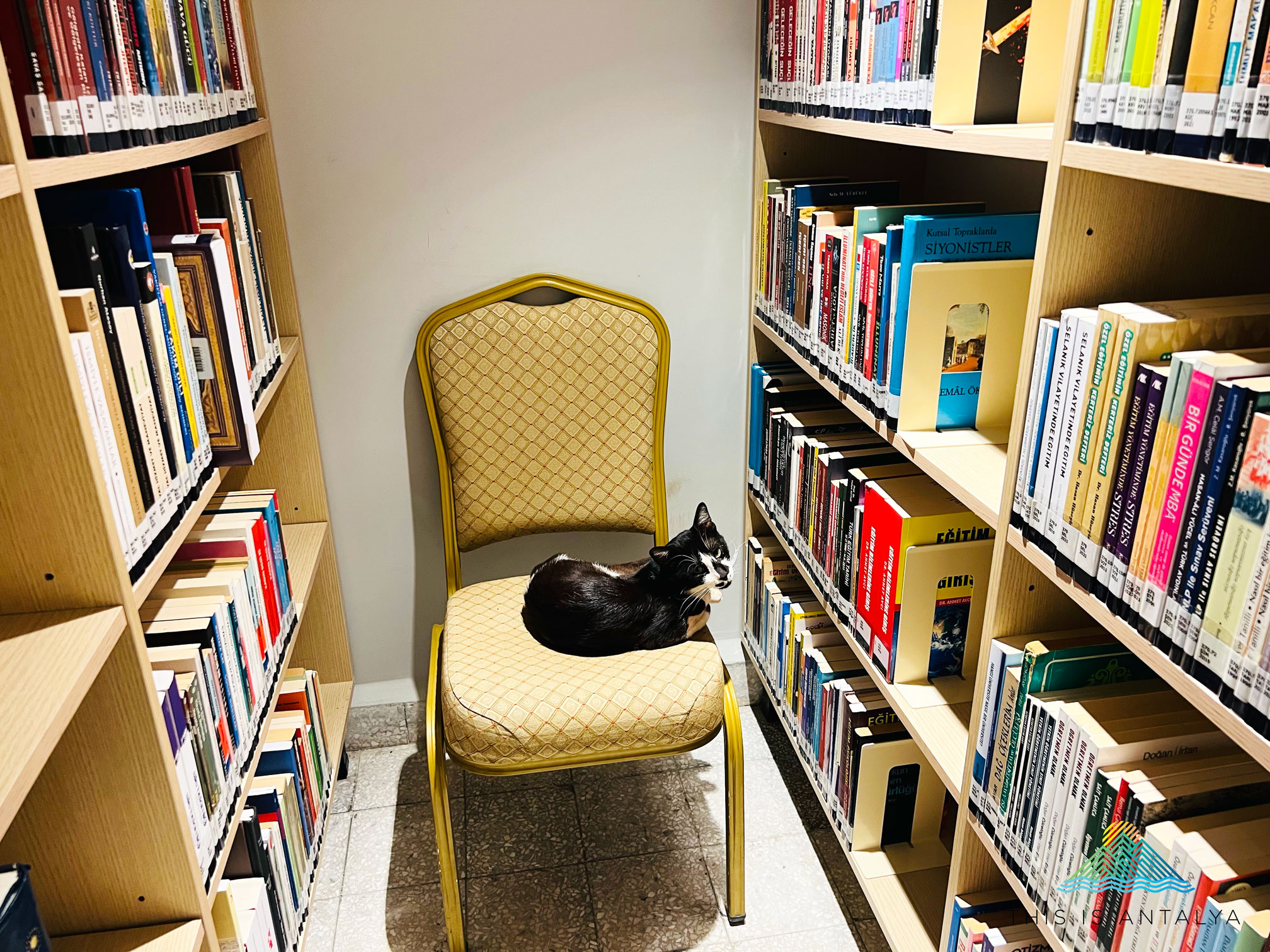 Dokuma Park - Cemil Meriç Library - This is Antalya Public library